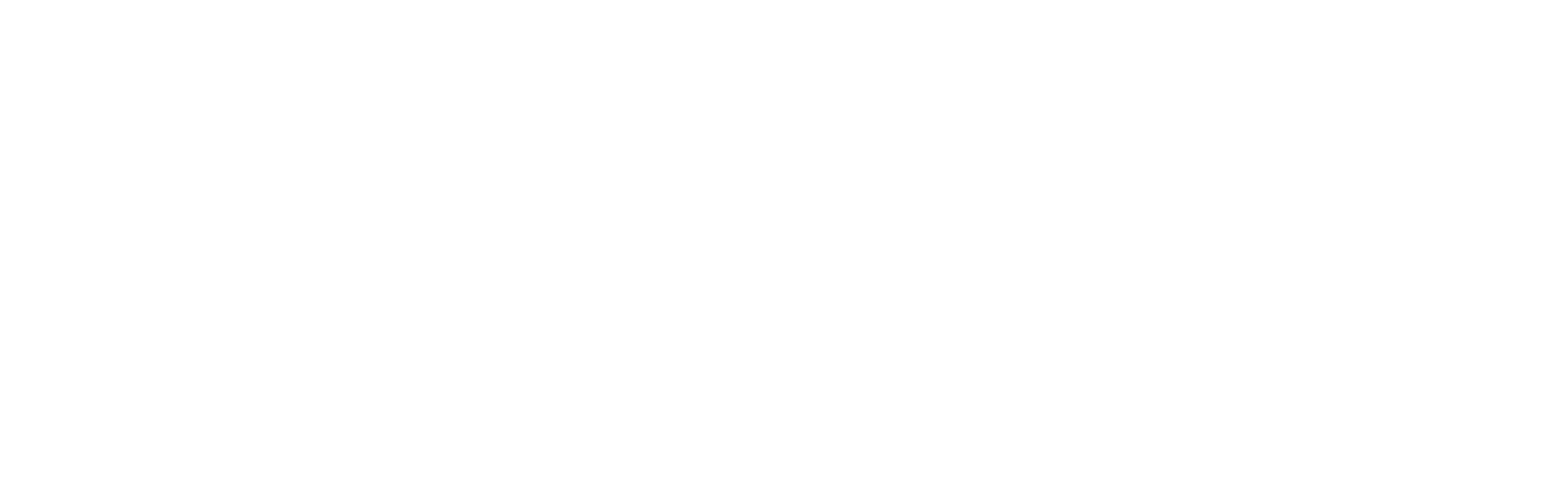 Martin Jensen